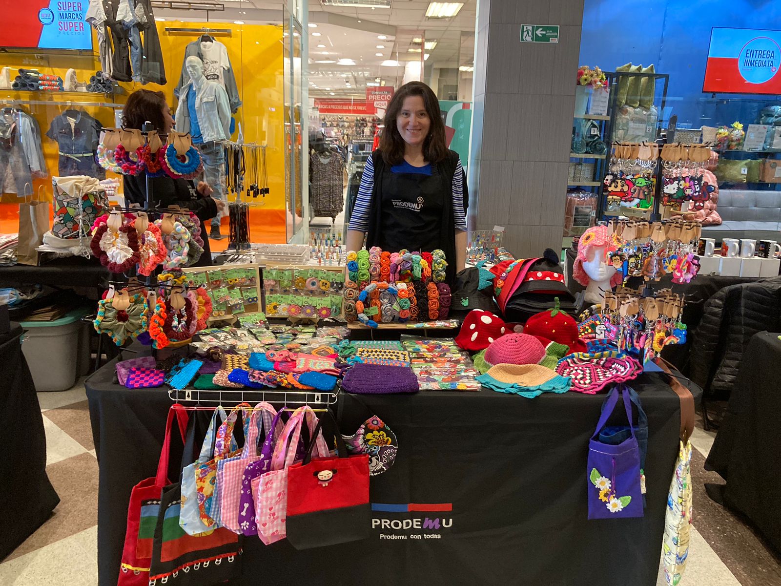 Entérate qué es un Bazar Prodemu y quiénes pueden participar