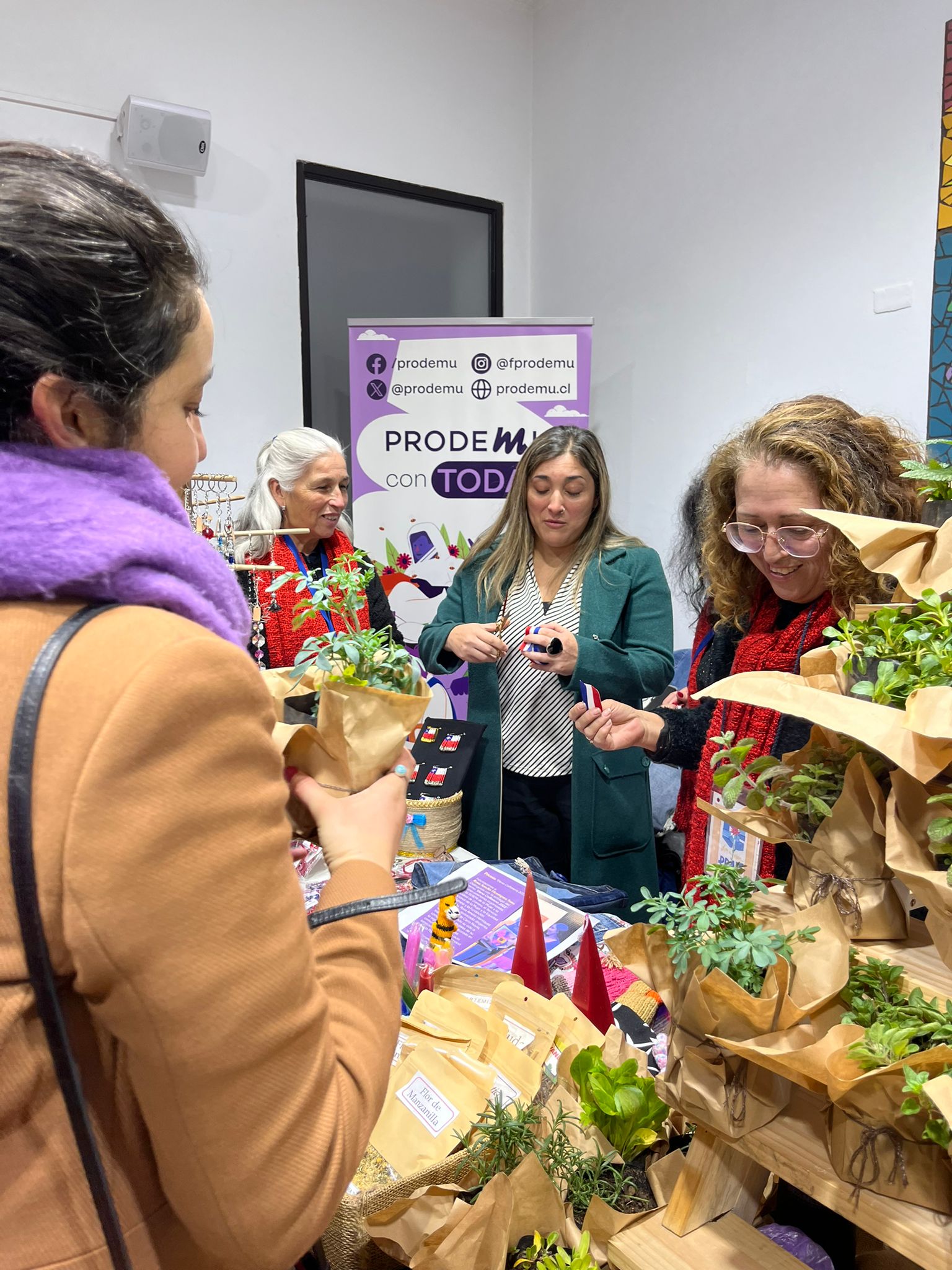 rm: Exitoso Mercadito Prodemu debutó con emprendedoras rurales